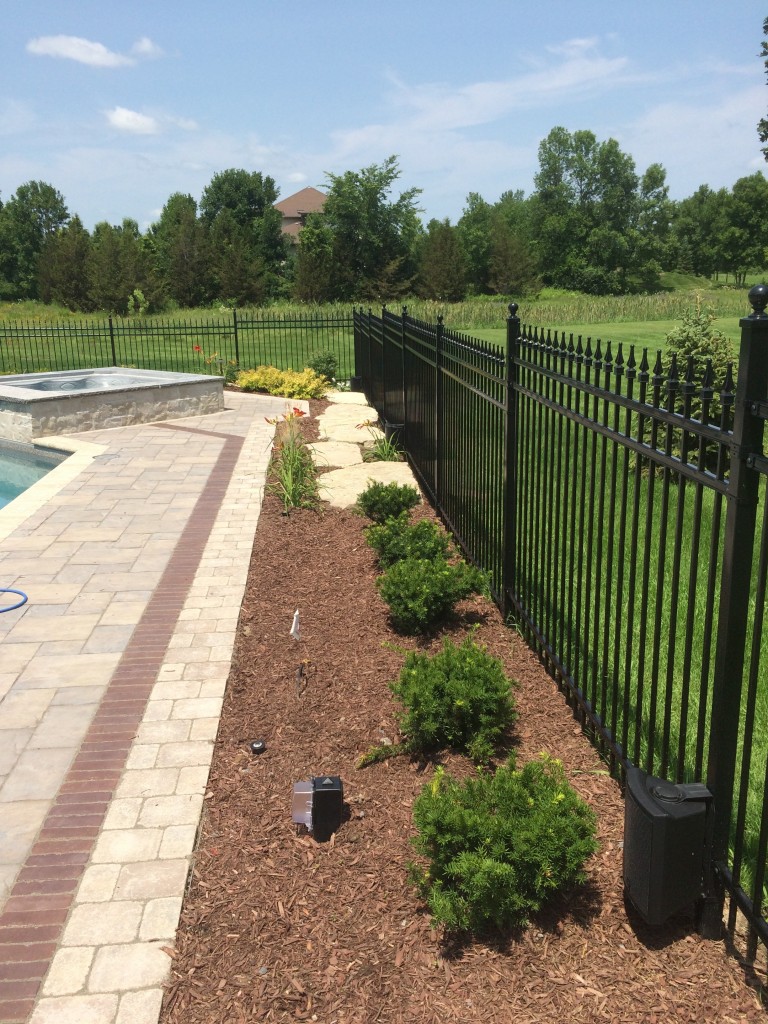 Gallery - Red Ball Radio